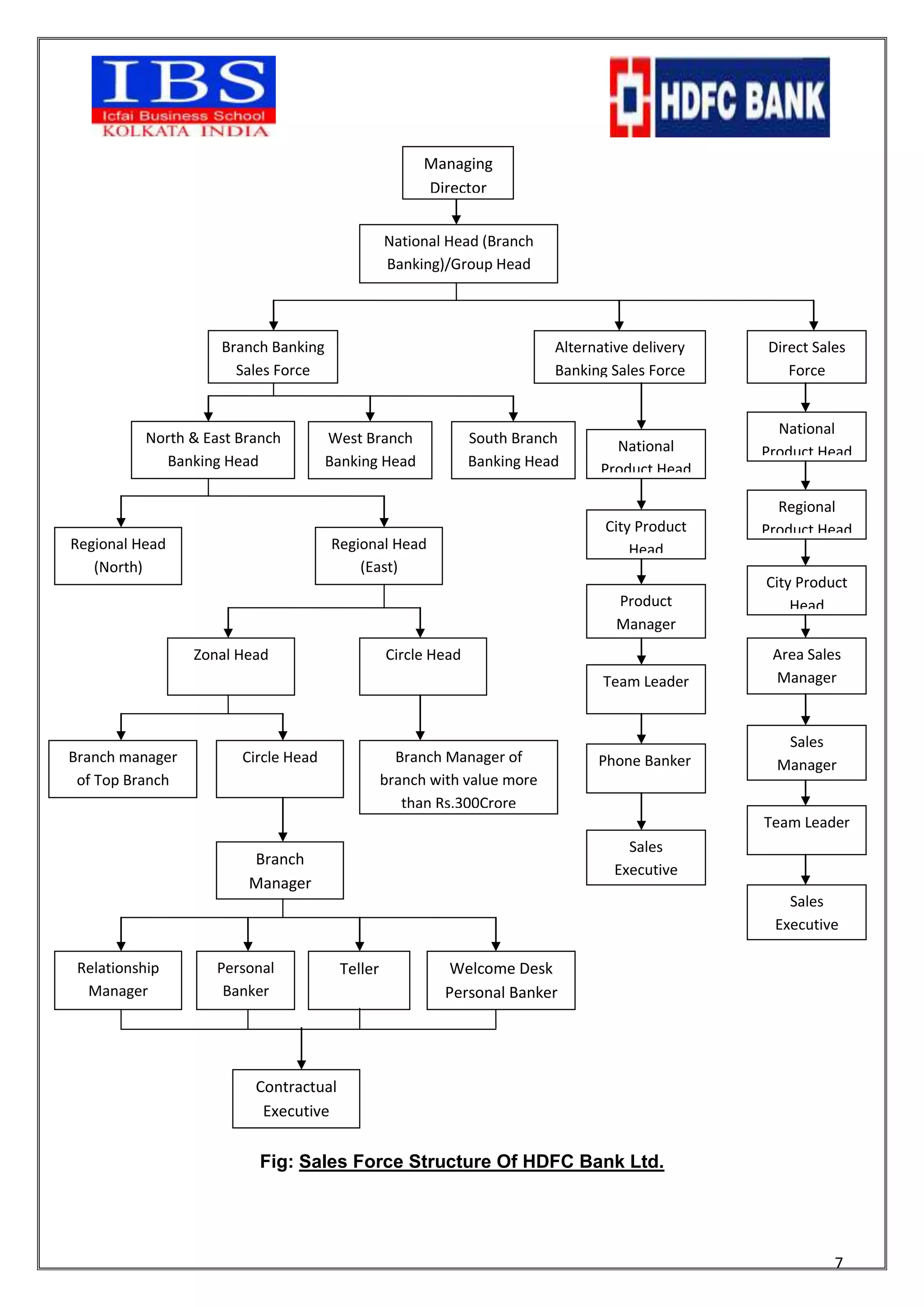 Project On Sales Force Structure Of Hdfc Bank Ltd | DOCX