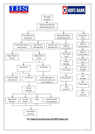Project On Sales Force Structure Of Hdfc Bank Ltd | DOCX