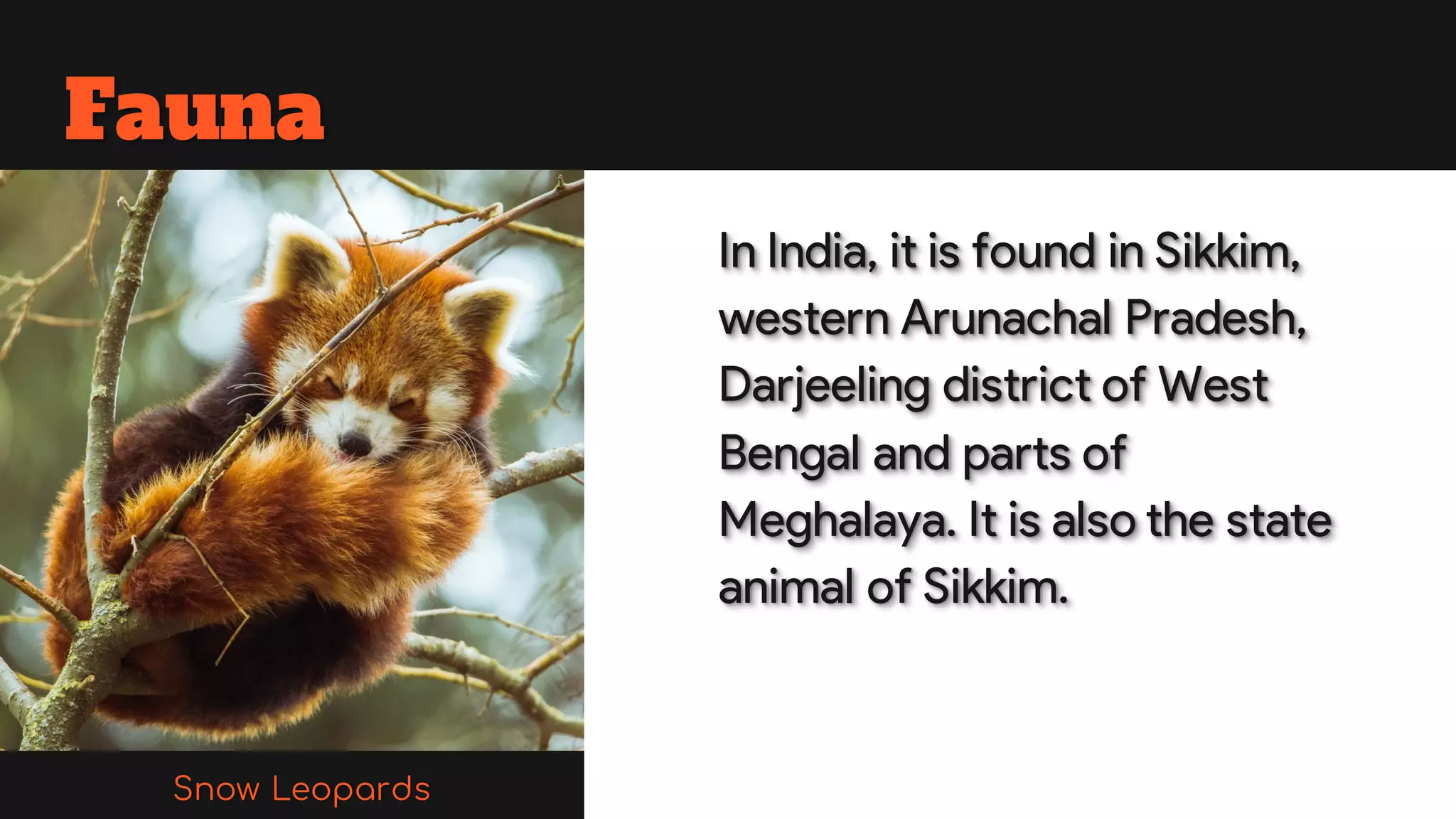 Project on sikkim | PDF