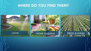 Project on soil moisture sensor | PDF