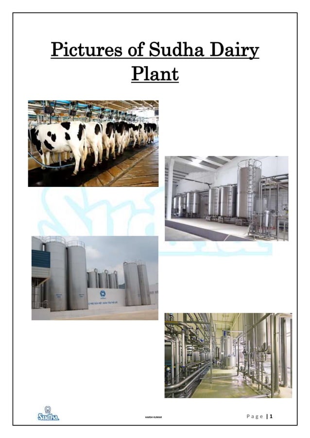 Bhagalpur Sudha Dairy Project, Project on Sudha Dairy Bhagalpur, Sudha Dairy Bhagalpur ...