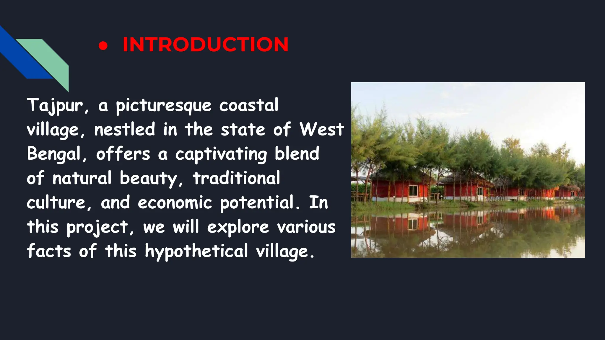 Project on Tajpur-A snapshot of a coastal Indian village.pptx | Geography | Science