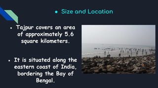 Project on Tajpur-A snapshot of a coastal Indian village.pptx