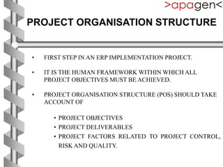Project organisation and erp implementation method | PDF