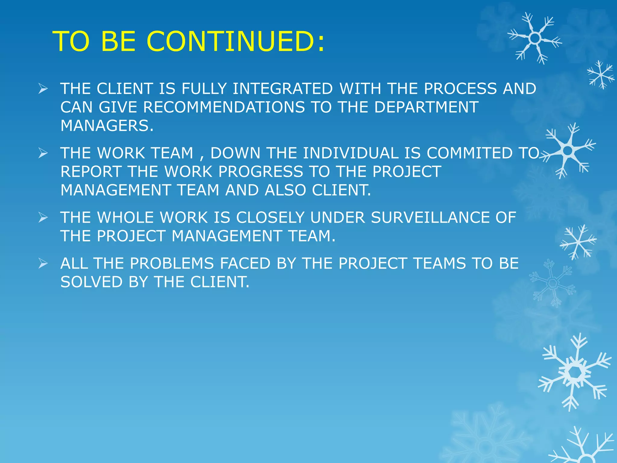 Project organisation innovation in scandinavia | PPTX