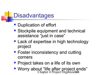 Project organization | PPT