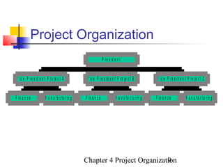 Project organization | PPT | Business | Business and Finance