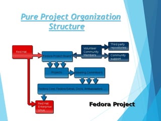 Project organization | PPSX
