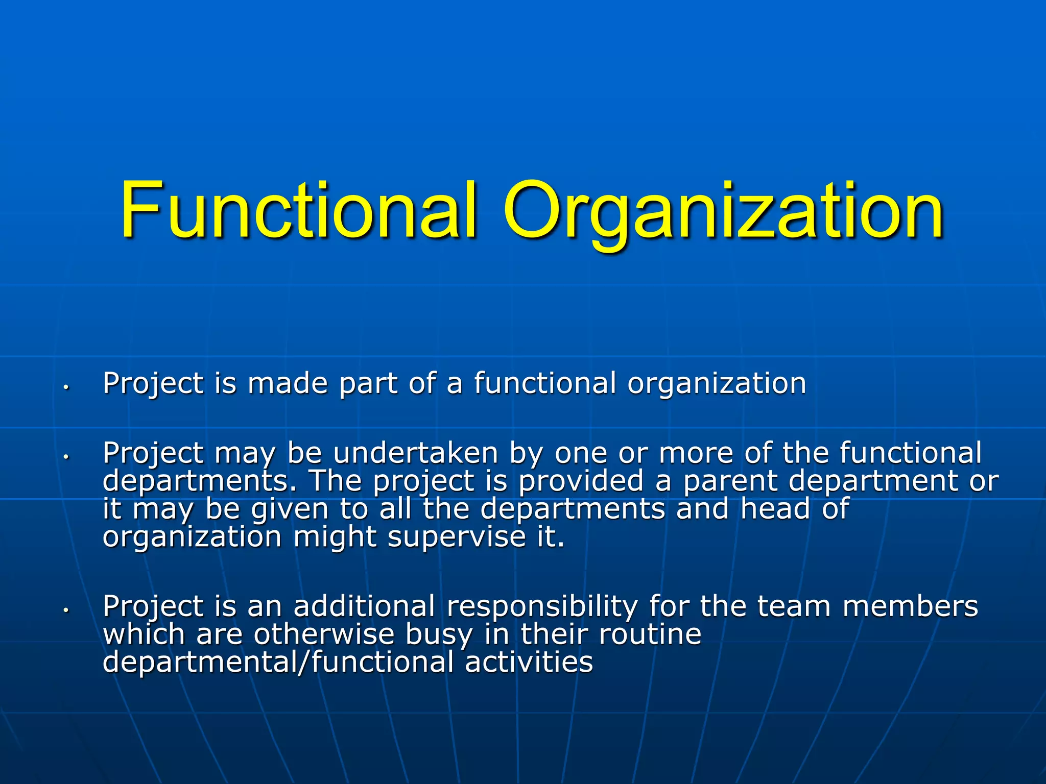 Project Organization.ppt
