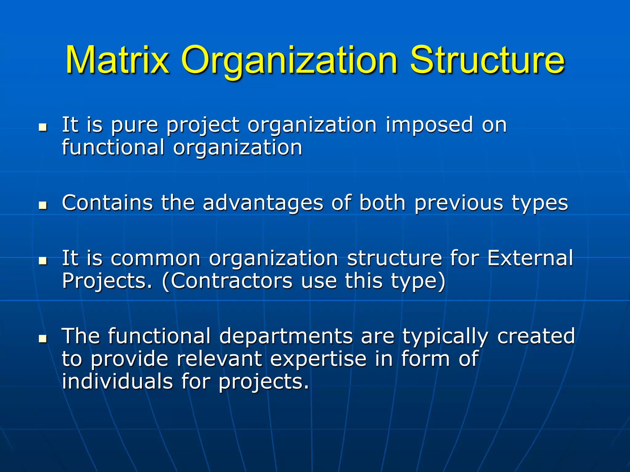 Project Organization.ppt