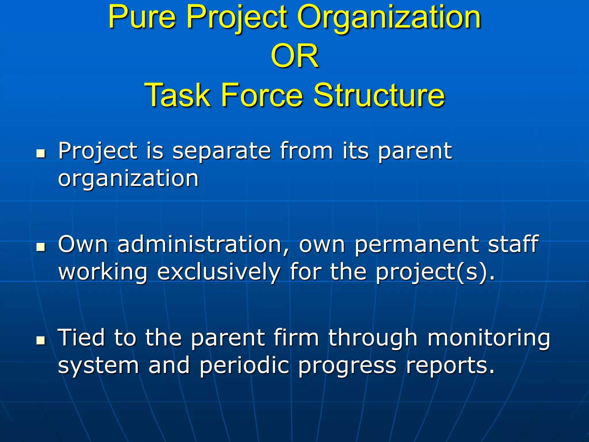Project Organization.ppt