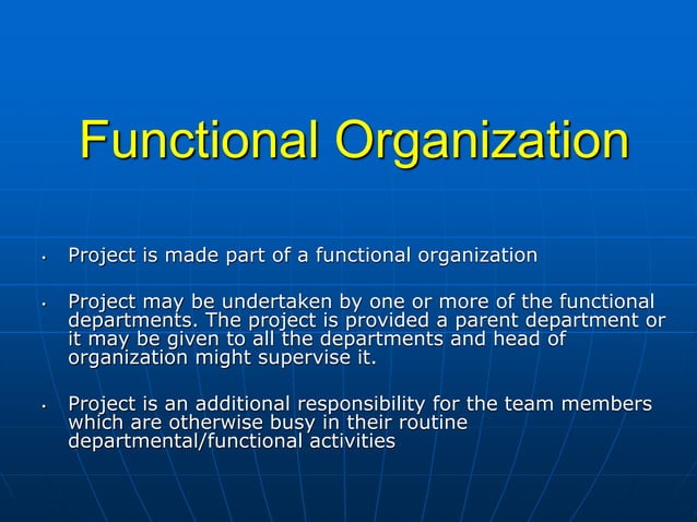Project Organization.ppt