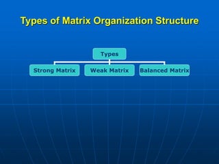 Project Organization.ppt
