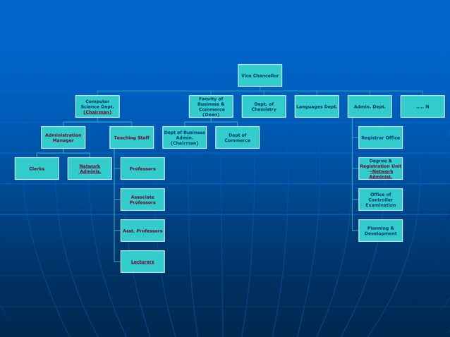 Project Organization.ppt