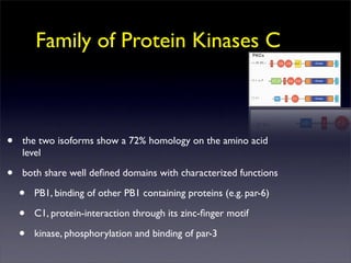 Project Overview | PPT