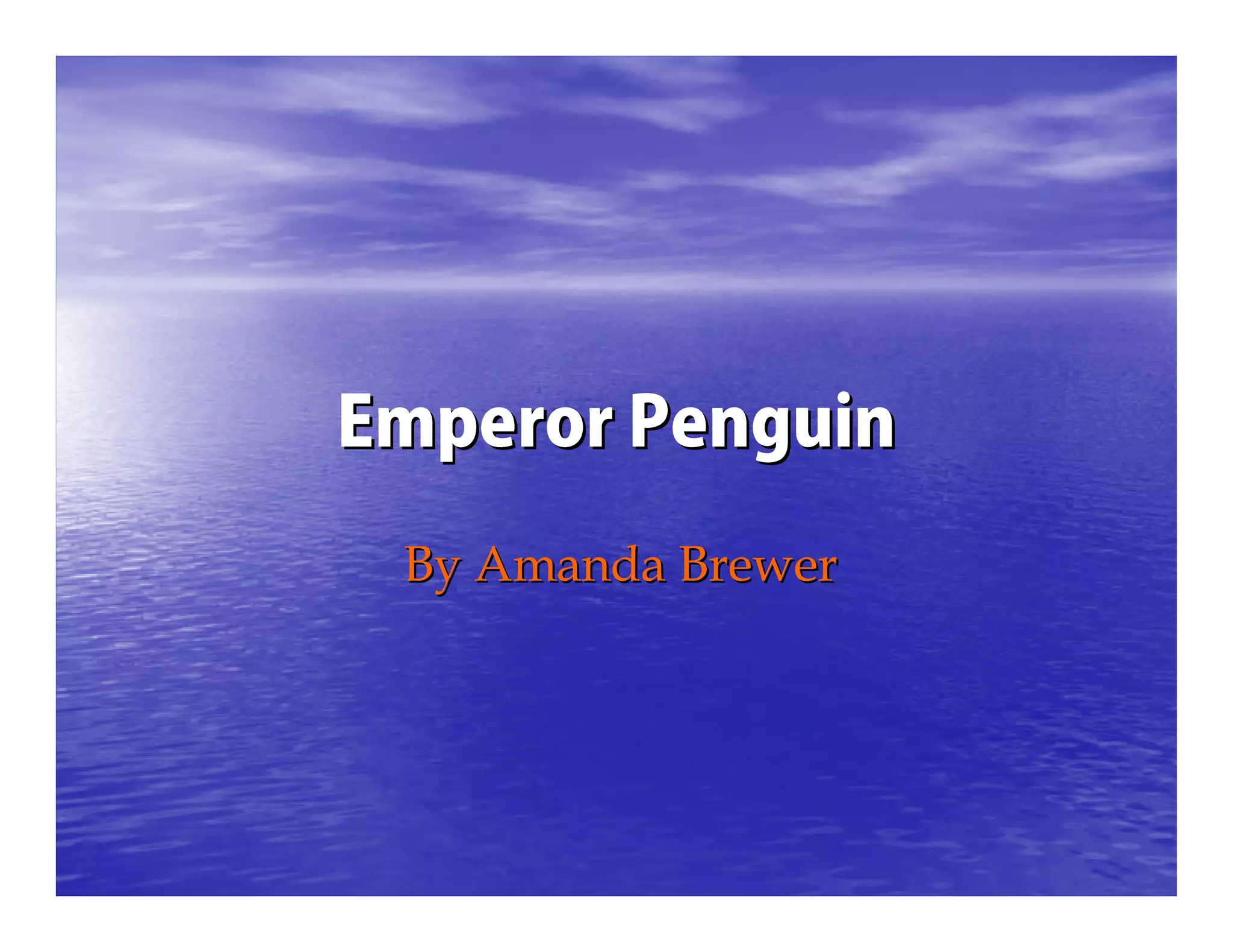 Emperor penguin project | PDF