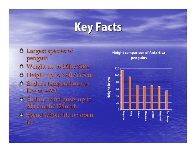 Emperor penguin project | PPT
