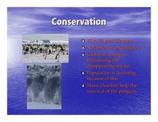 Emperor penguin project | PDF