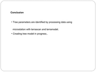 3D tree modeling | PPT
