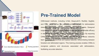 Unveiling deforestation patterns using satellite imagery.pptx