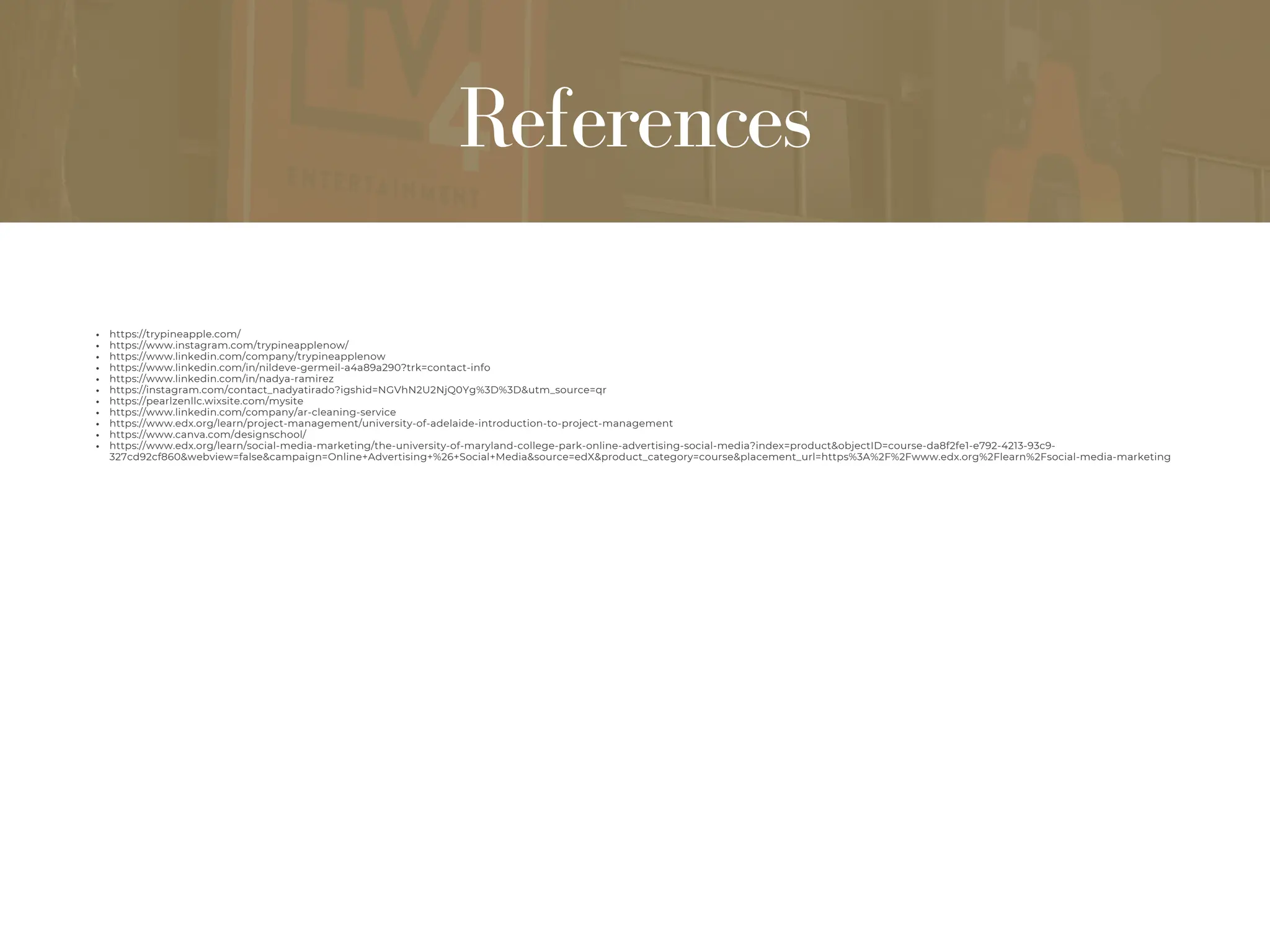 Project & Portfolio 1 | PDF