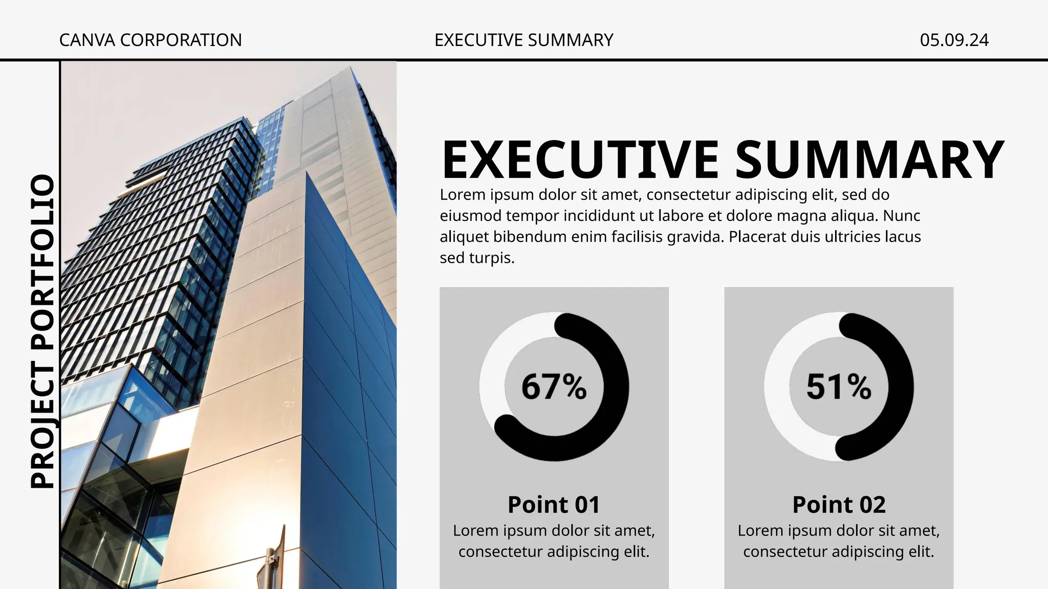 Project Portfolio Executive Summary Slides.pptx