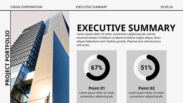 Project Portfolio Executive Summary Slides.pptx