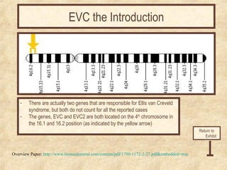 EVC & EVC2 (Ellis-van Creveld) | PPT