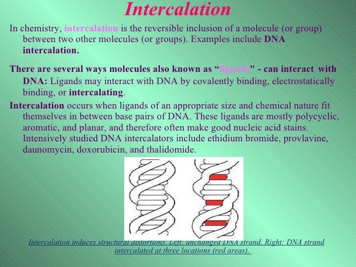 Intercalary Chapter Definition
