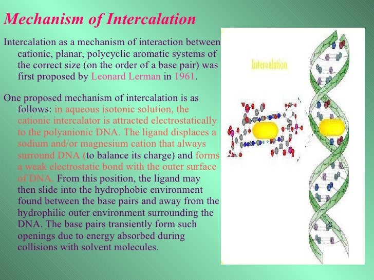 Intercalary Chapter Definition