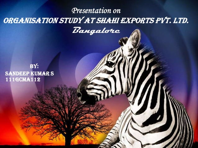 Shahi Exports Pvt. Ltd | PPTX | Manufacturing Industry | Industries