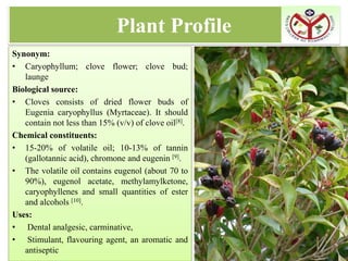 Formulation and Evaluation of Dental gel containing Clove oil for the ...