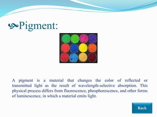 Production & Operations of Paint | PPTX