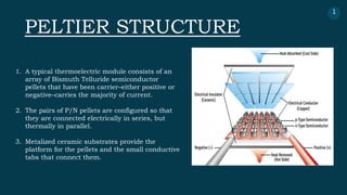 Projectppt 190513183453 | PDF
