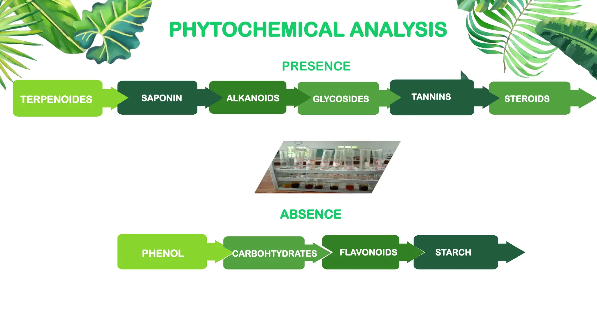 Biofertilizer prepared and used on plant growth | PPT
