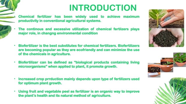 Biofertilizer prepared and used on plant growth | PPT