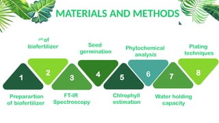 Biofertilizer prepared and used on plant growth | PPT