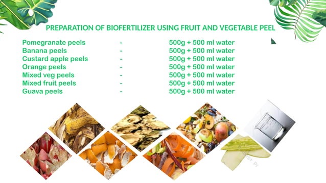 Biofertilizer prepared and used on plant growth | PPT