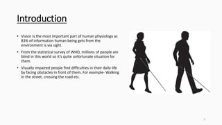 Project PPT BLINDMAN FINAL.pptx