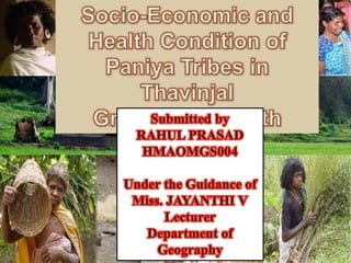 Socio Economic and Health Condition of Paniya Tribes in Thavinjal ...