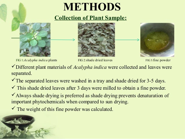 Evaluation Of Phytochemical Anti Oxidant Anti Inflammatory And Cyt…