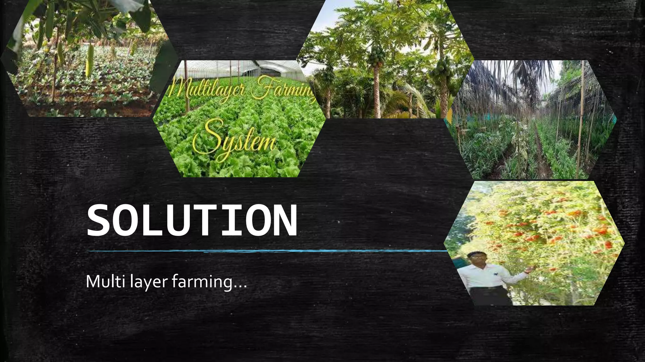 multi-layer farming system | PPTX
