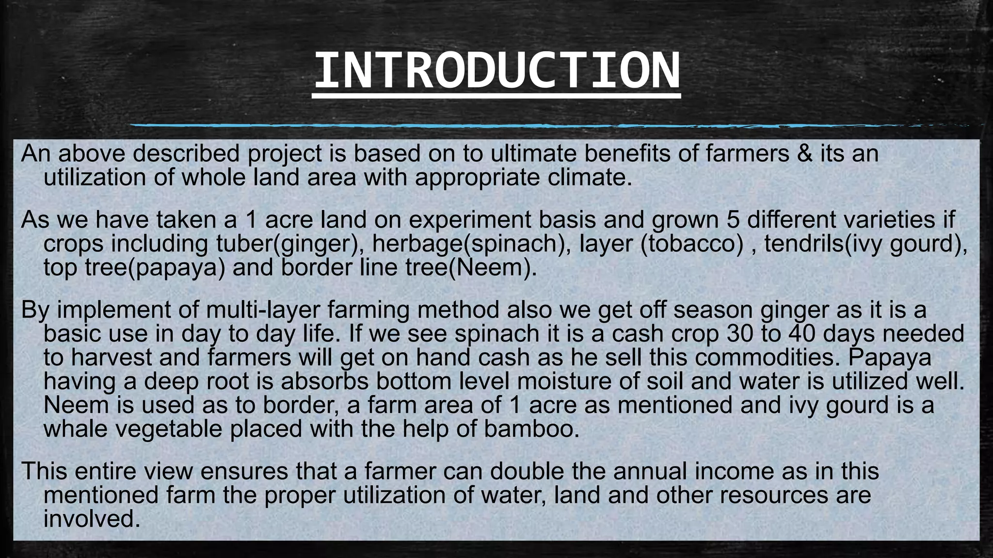multi-layer farming system | PPTX