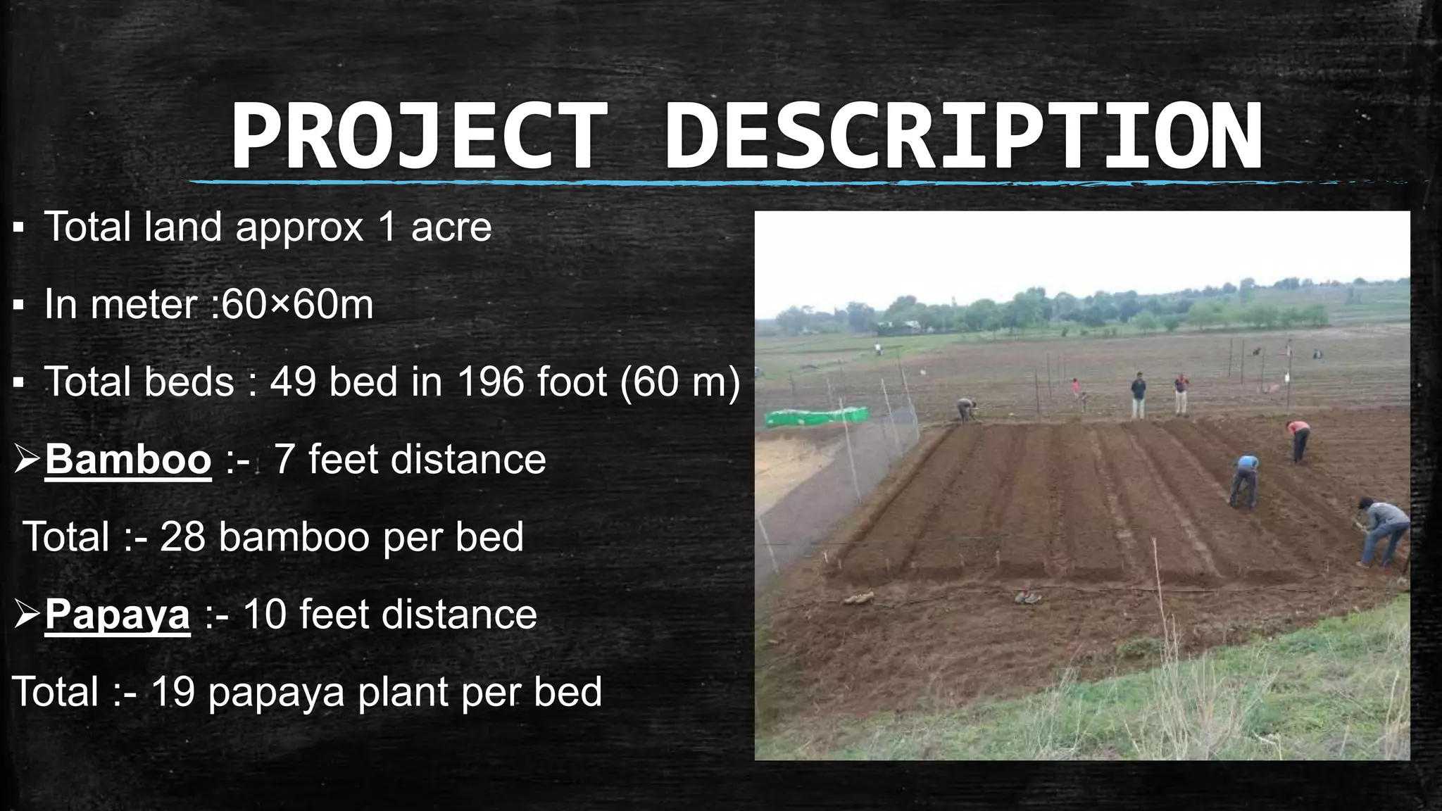 multi-layer farming system | PPTX