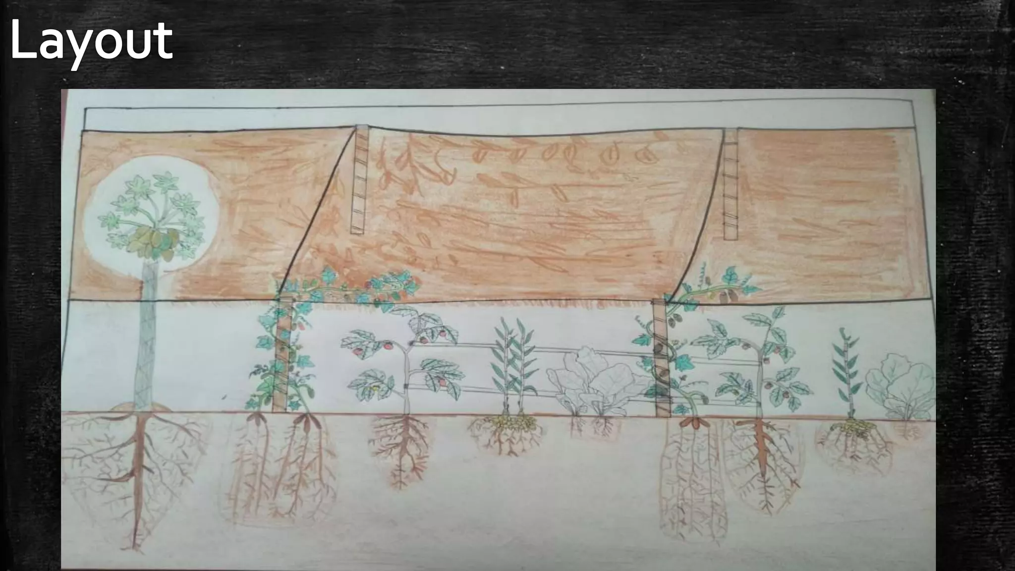 multi-layer farming system | PPTX