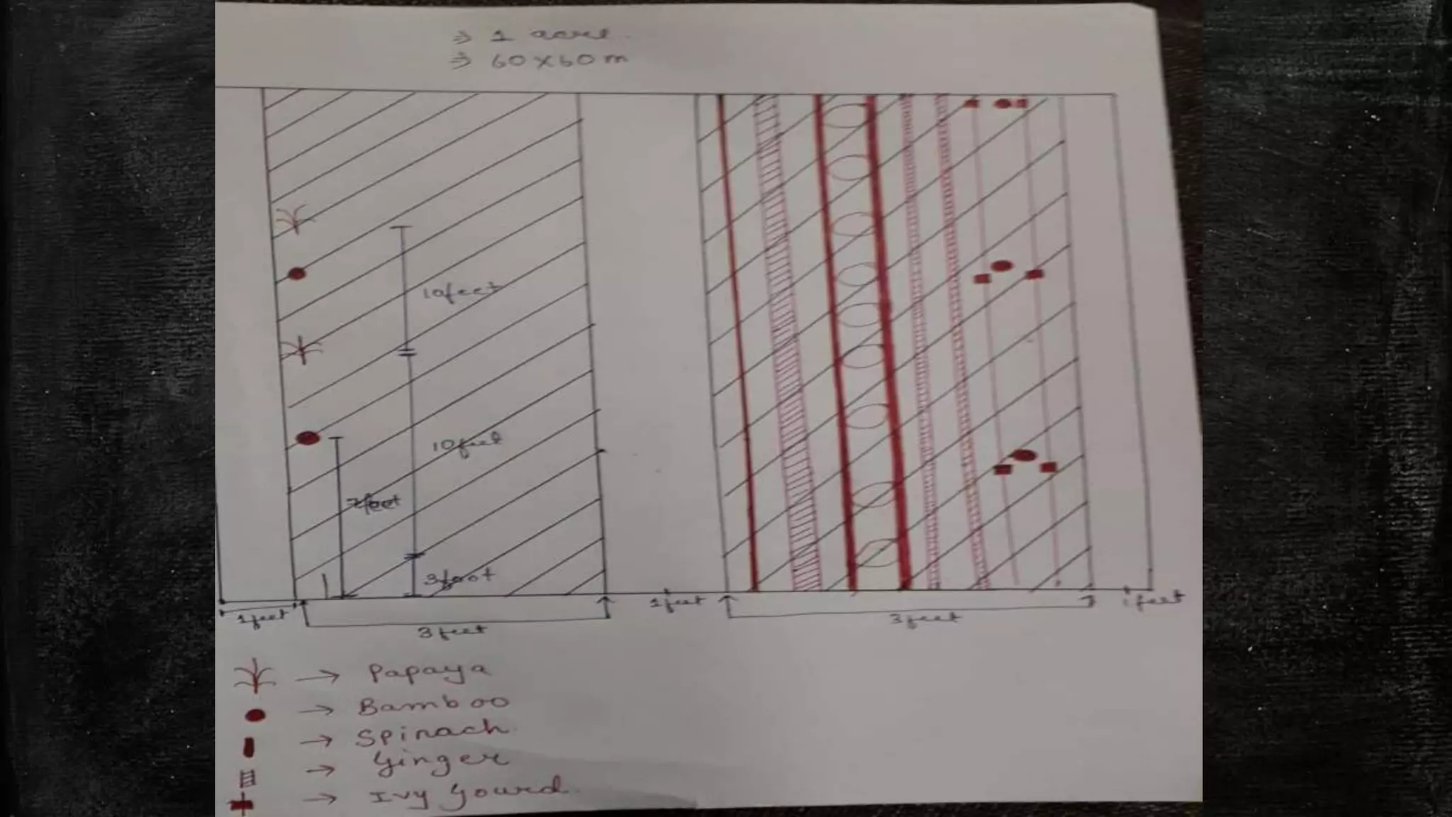 multi-layer farming system | PPTX