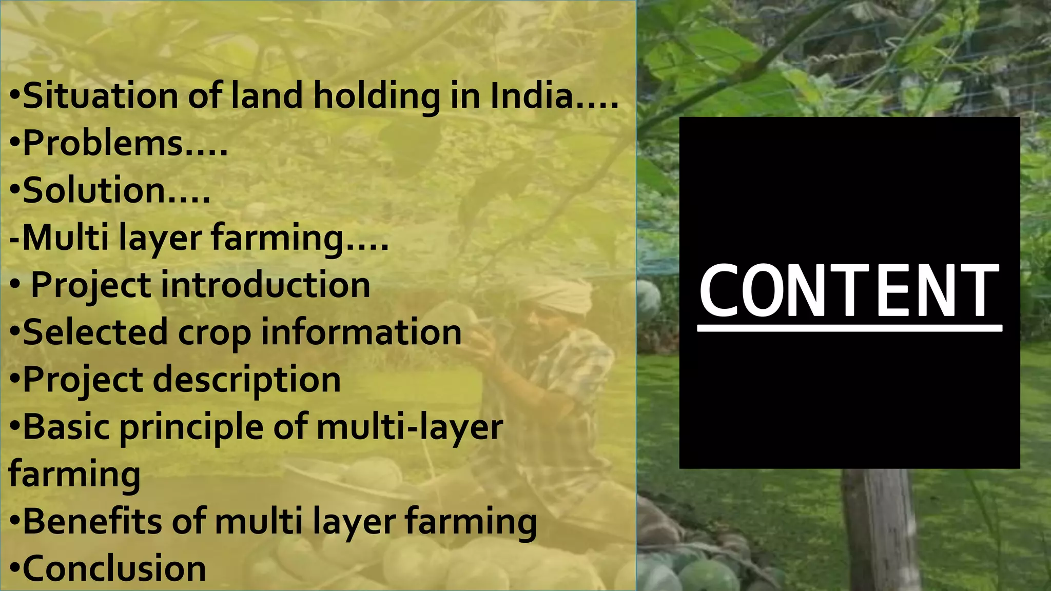 multi-layer farming system | PPTX