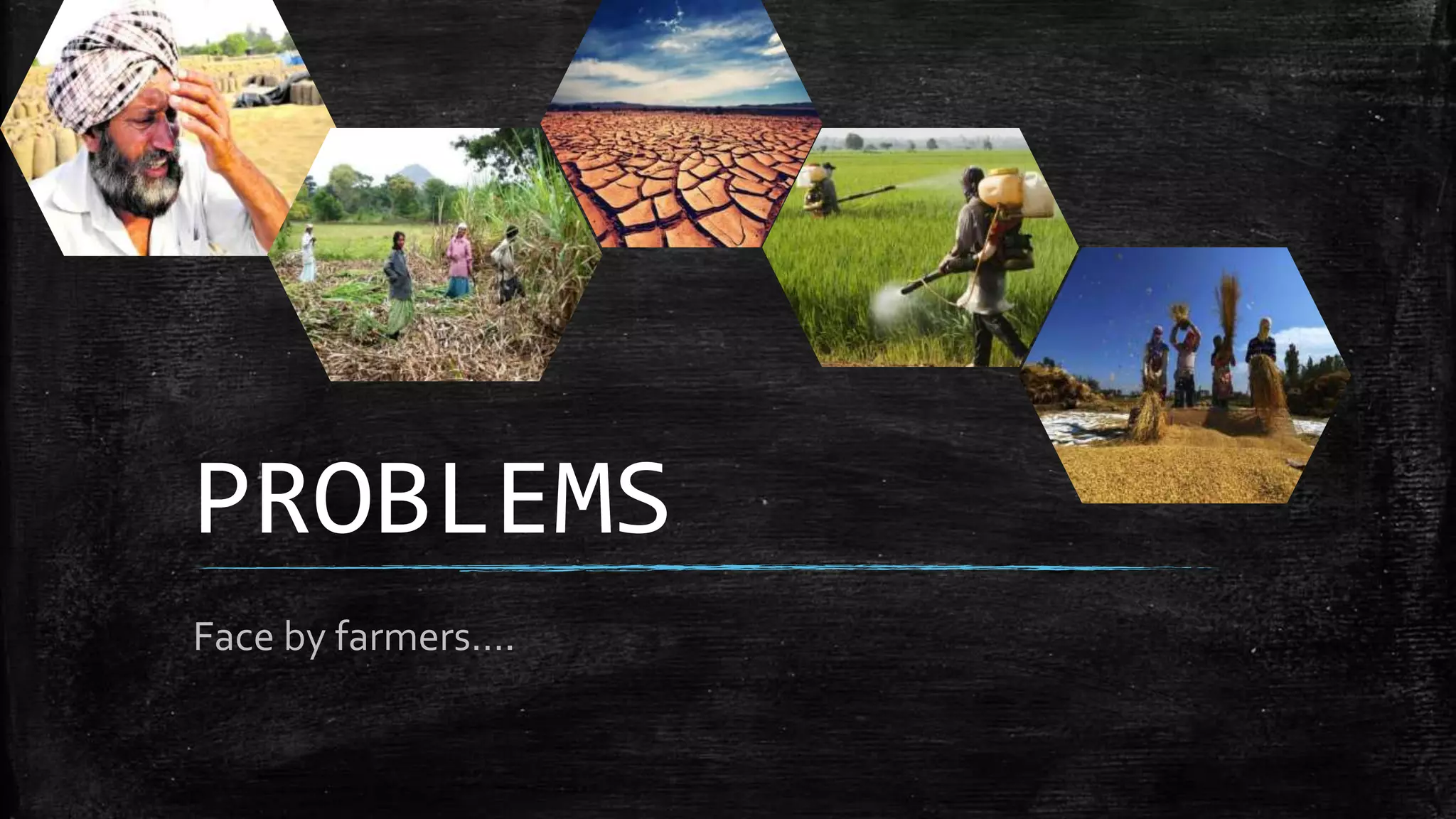 multi-layer farming system | PPTX