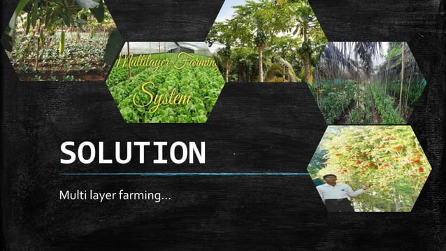 multi-layer farming system | PPTX