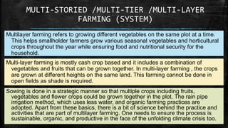 multi-layer farming system | PPTX